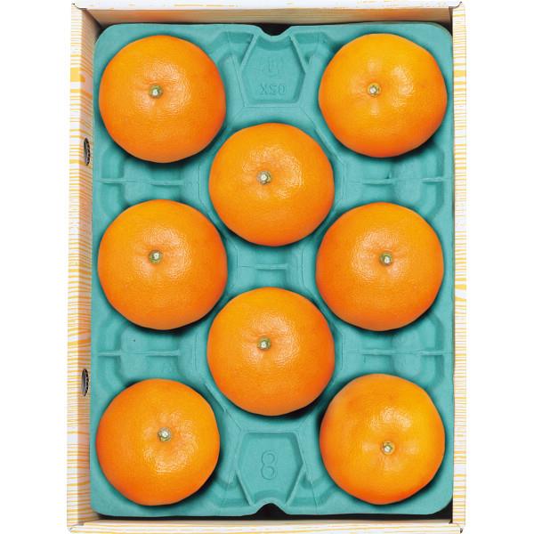 愛媛県産 せとか（2kg HAMANO 問屋・仕入れ・卸・卸売の専門【仕入れならNETSEA】