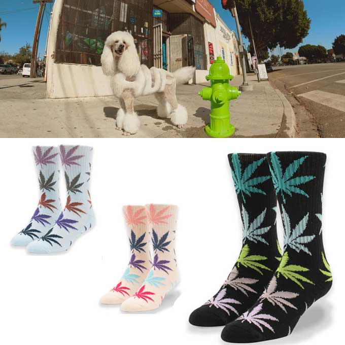HUF MULTI HIT PLANTLIFE SOCKS 20941 有限会社 スコール | 卸売・ 問屋・仕入れの専門サイト【NETSEA】
