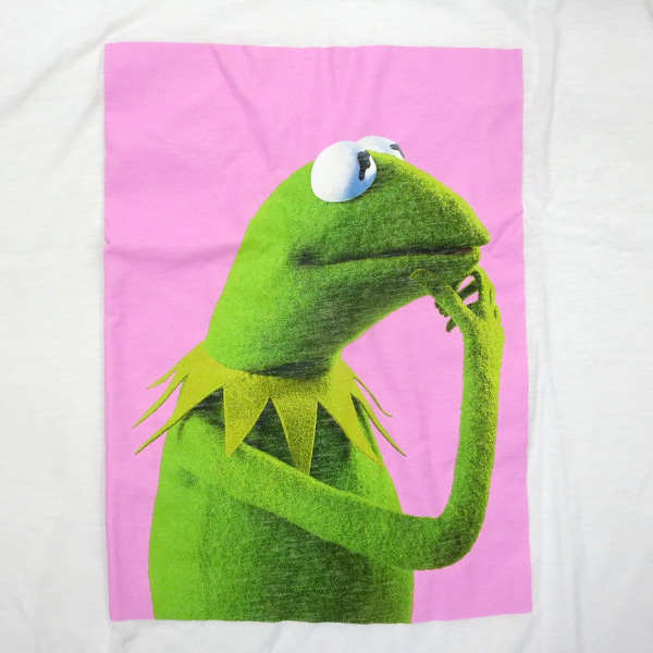Tシャツ The Muppets Kermit Thinking White【カーミット】 有限会社 ステップス 問屋・仕入れ・卸・卸売の専門【仕入れならNETSEA】
