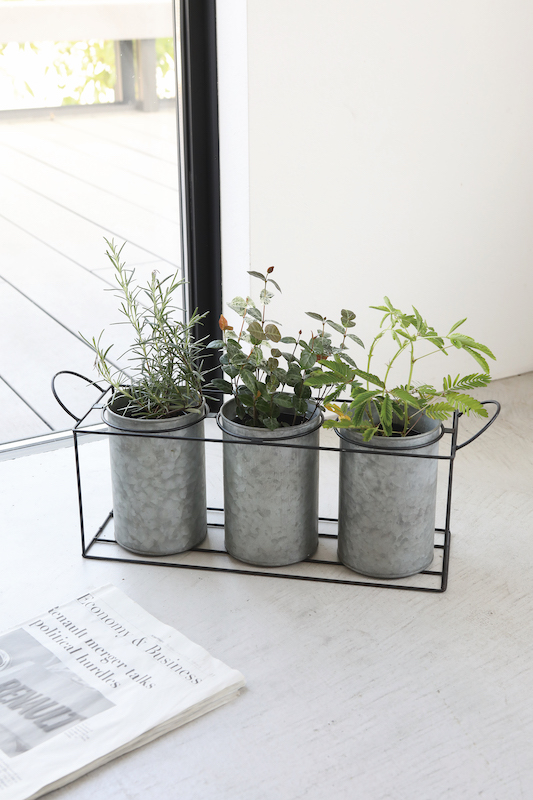 CVG：トリプル・フレームポット 株式会社 NKT | 卸売・ 問屋・仕入れの専門サイト【NETSEA】