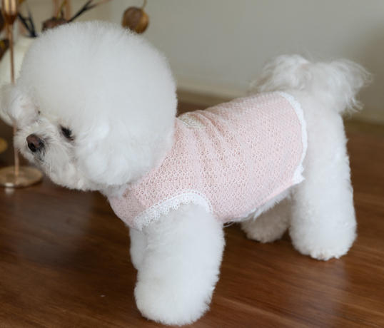 秋冬新作 小型犬服★超可愛いペット服★犬服★猫服★犬用★ペット用品★ネコ雑貨 | 卸売・ 問屋・仕入れの専門サイト【NETSEA】